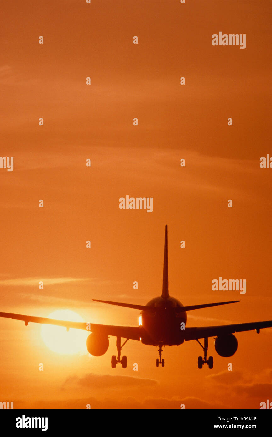 Airbus A320 jet airliner flying landing in an golden orange sky at ...