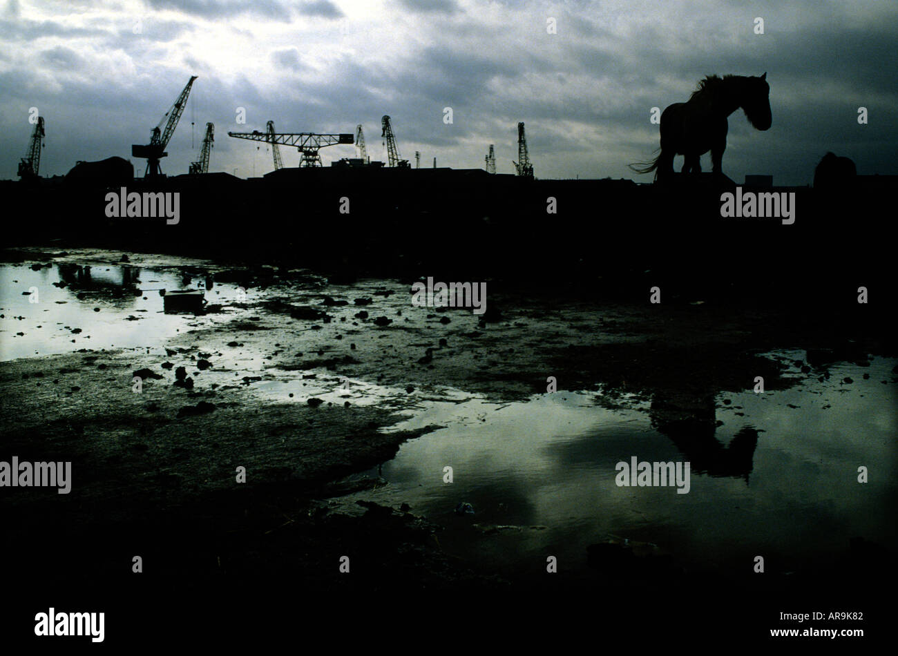 Newcastle, north east England. 1985 Stock Photo - Alamy