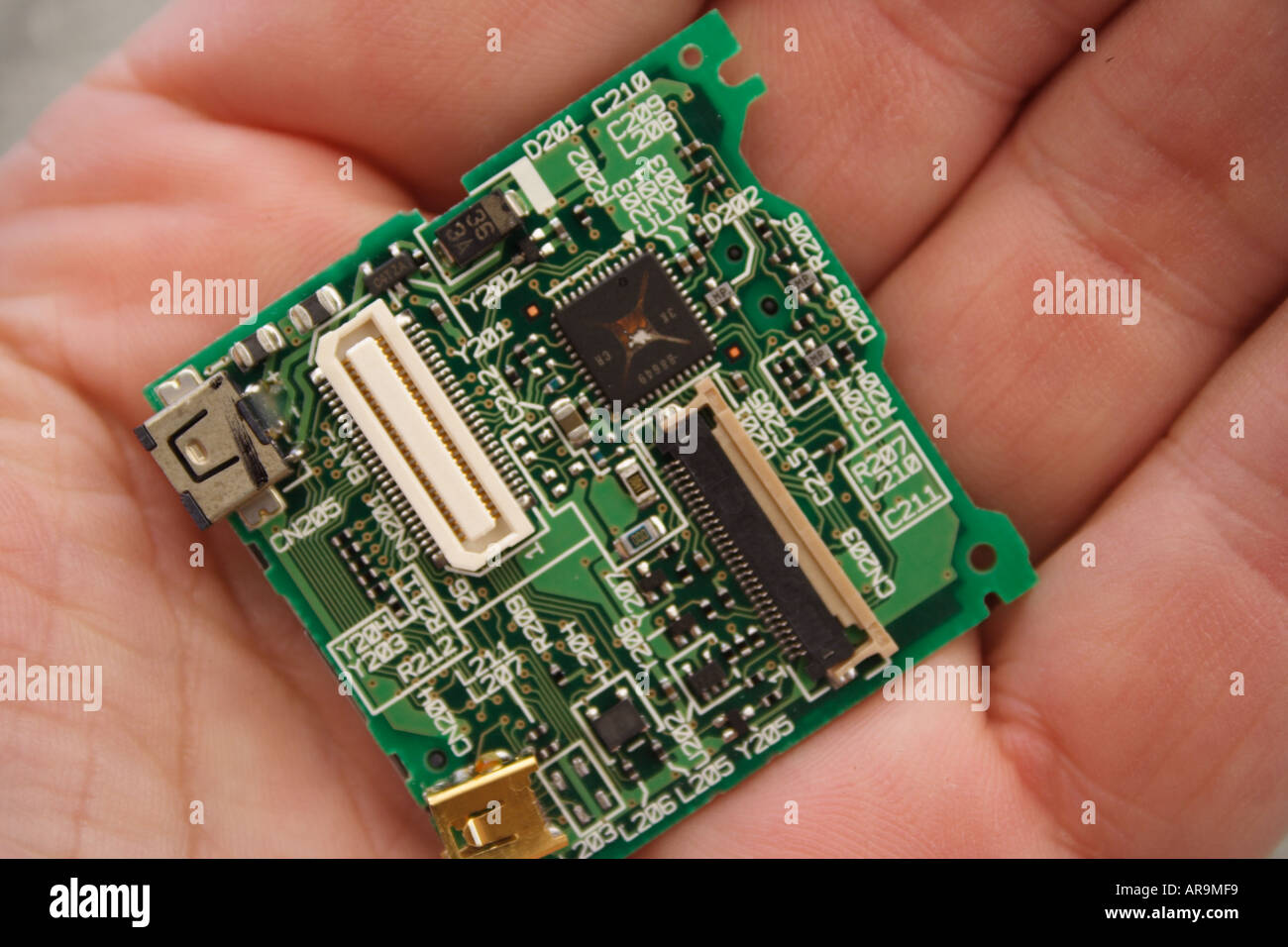 CIRCUIT BOARD IN A HAND Stock Photo - Alamy