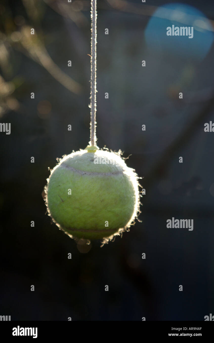 TOTEM TENNIS BALL ON A STRING BACKLIT Stock Photo - Alamy