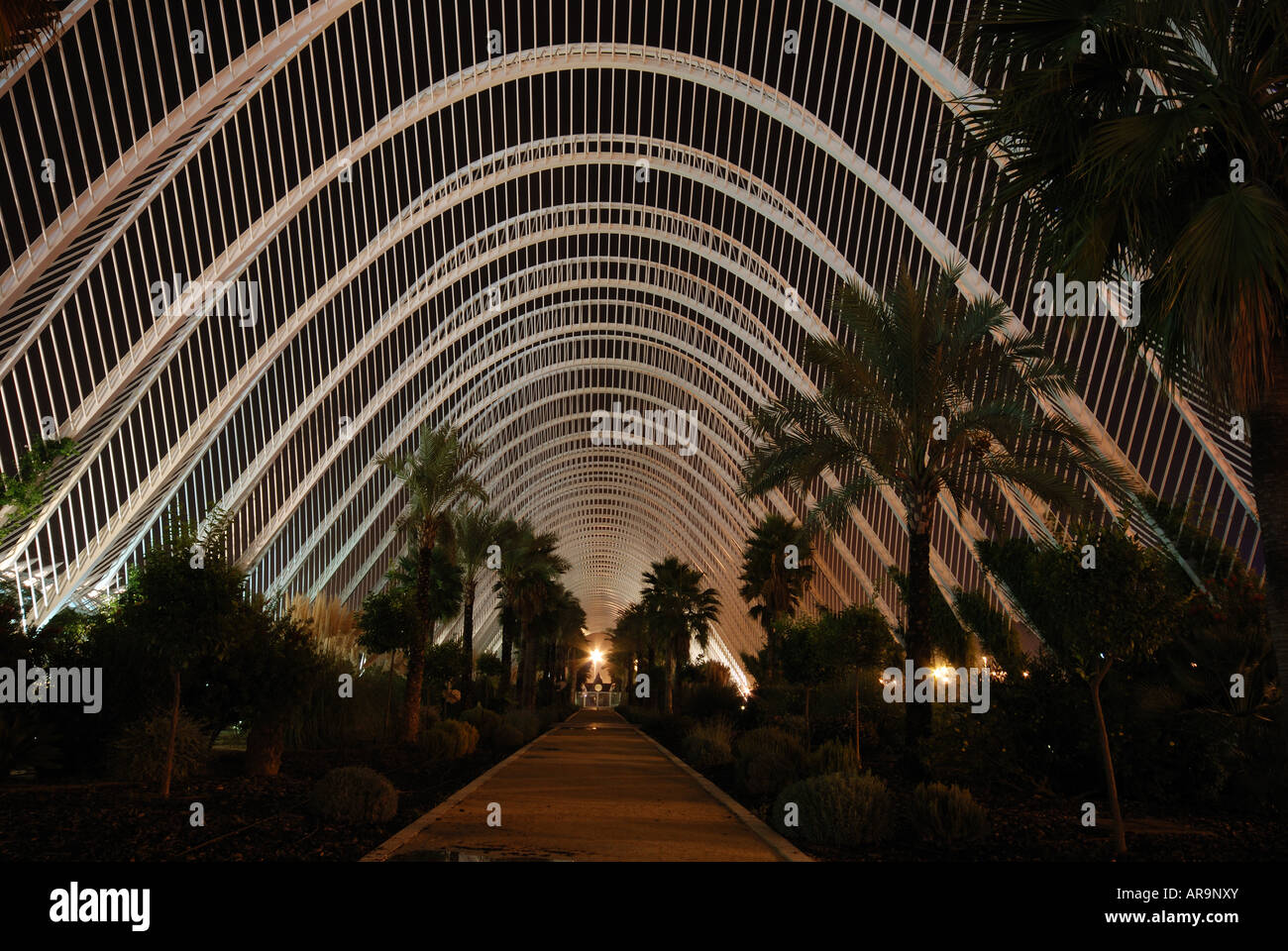 L'Umbracle in the City of the Arts and the Sciences in Valence, Spain ...