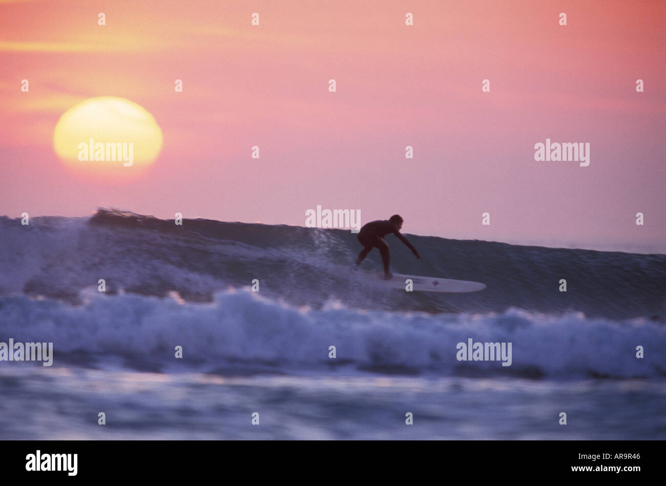 Surfing in Jersey Channel Islands as the sun sets Stock Photo - Alamy