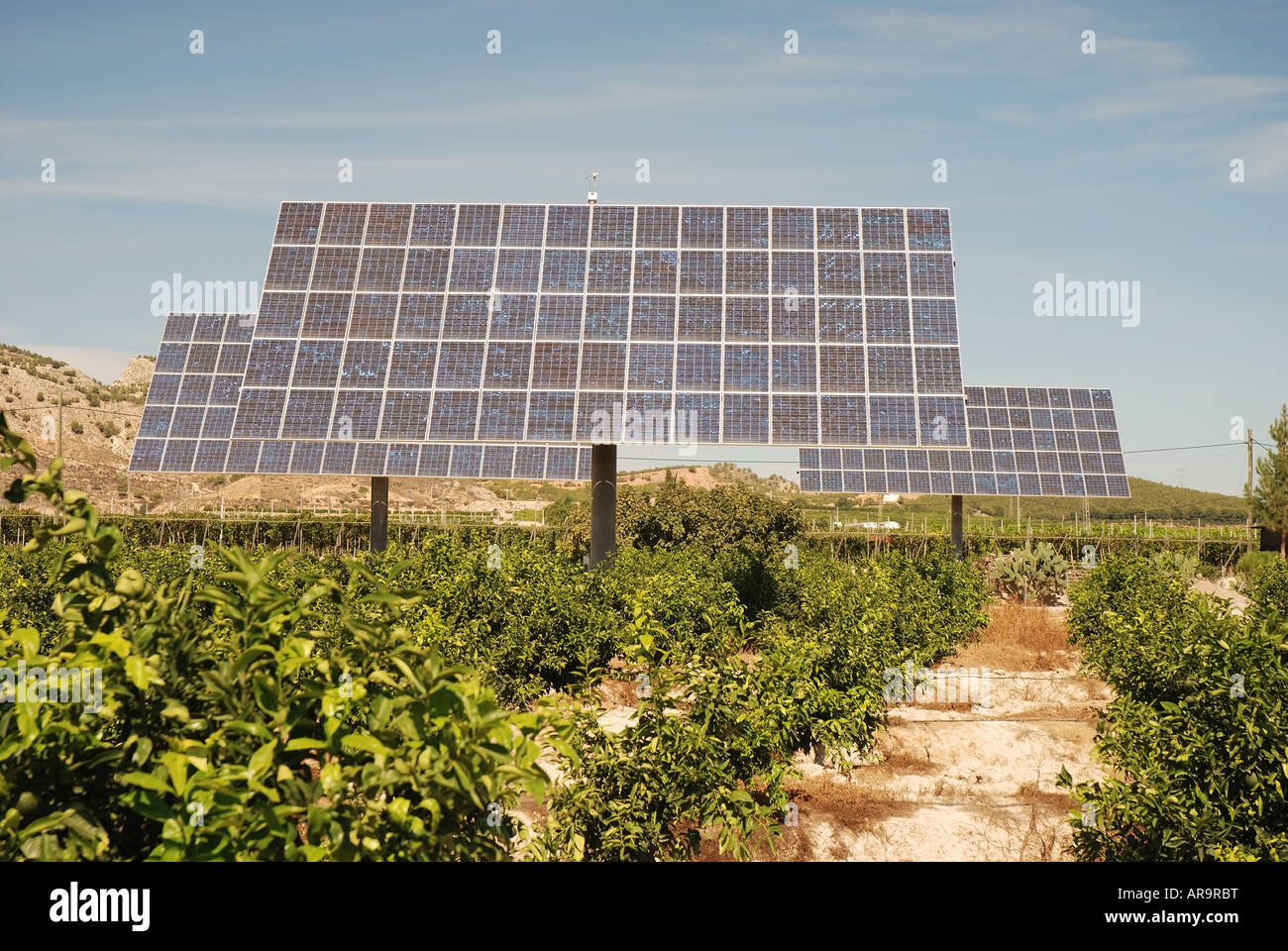 Solar panels on an orange plantation in Spain Stock Photo - Alamy