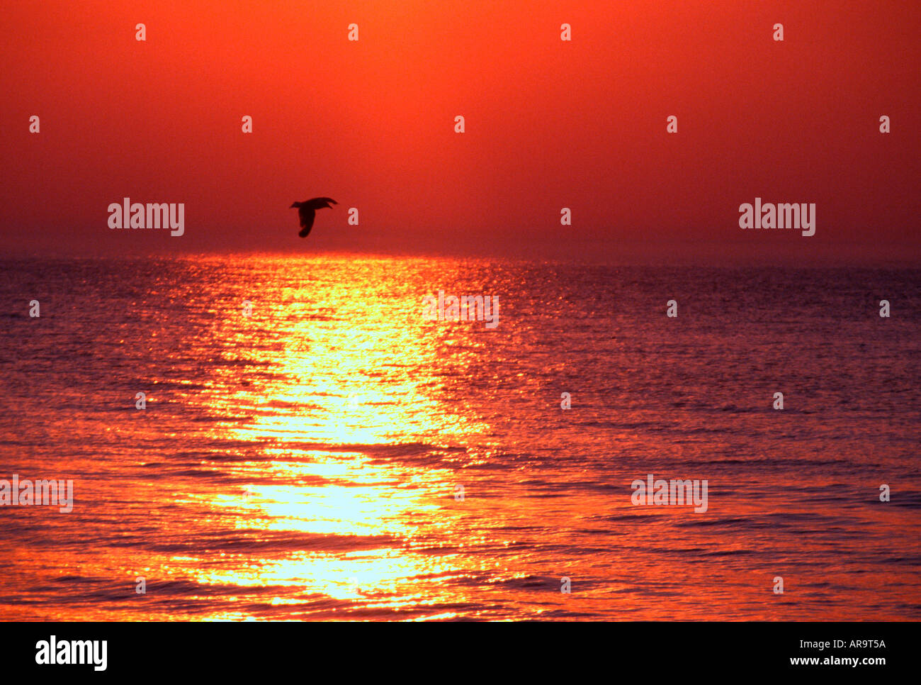 Michigan promise hi-res stock photography and images - Alamy