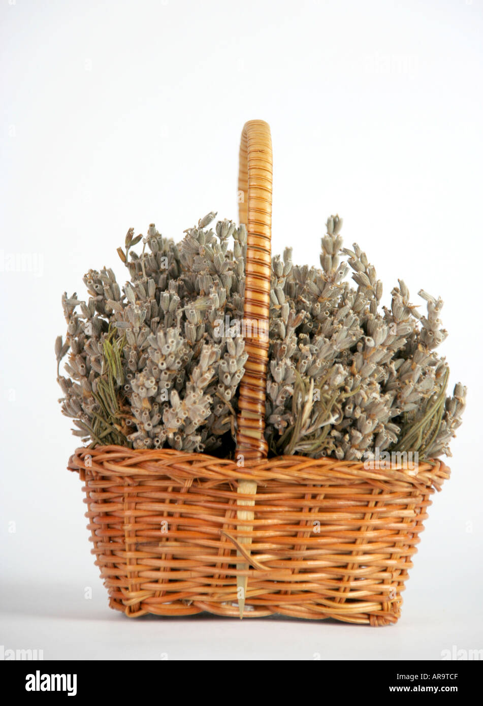 Wicker basket lavender lavanda scent plant hvar island croatia hi-res ...