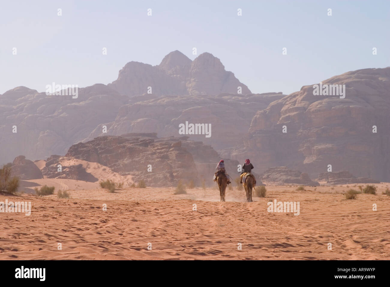Camels Riding In The Desert, Wadi Rum, Jordan Stock Photo - Alamy
