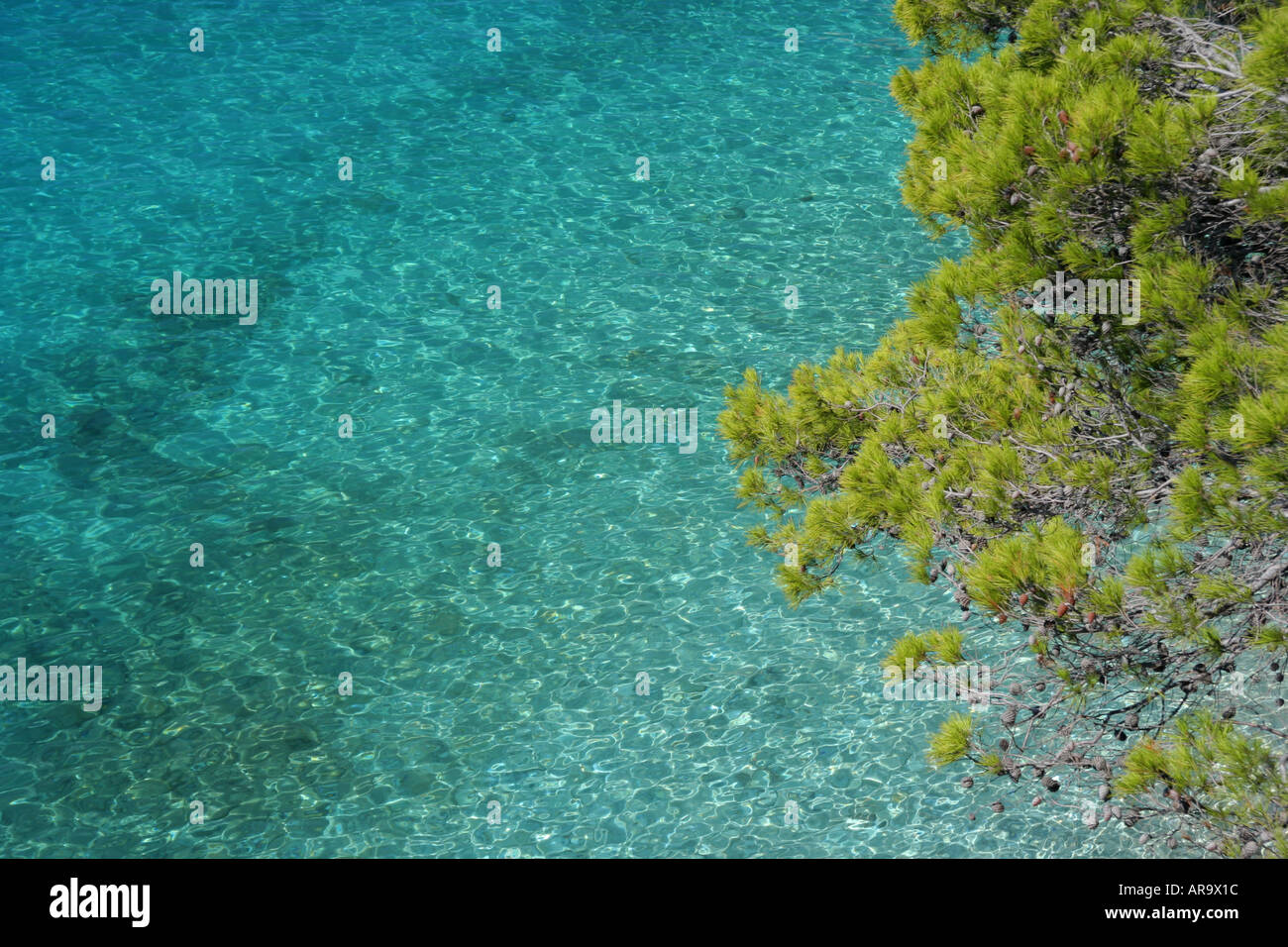 A spectacular sapphire bay near camping site in Jagodna village on Hvar ...