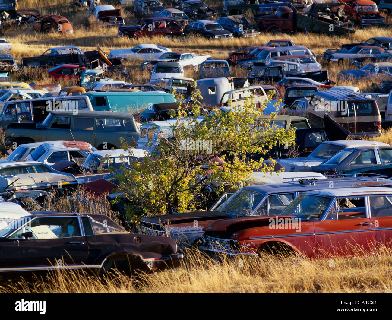 Discarded recycling planning hi-res stock photography and images - Alamy