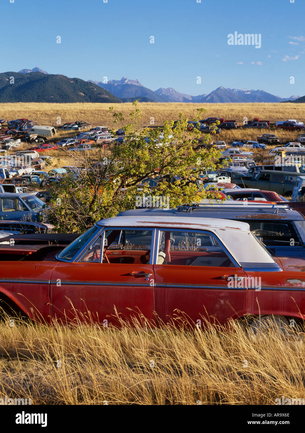 Car junk yard us hi-res stock photography and images - Alamy