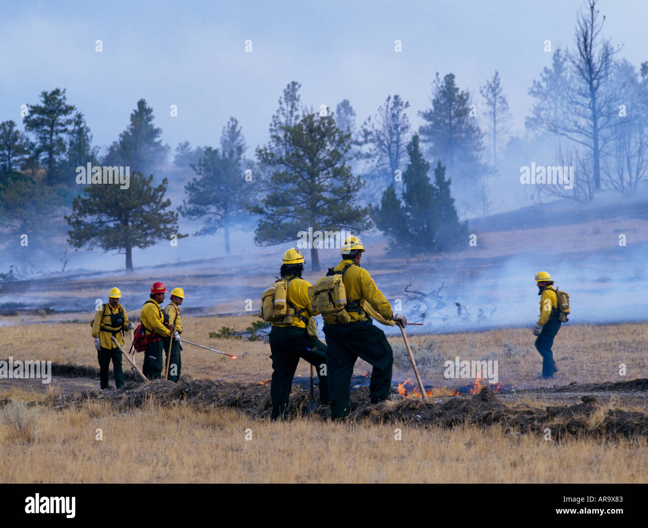 Fire Fighters in line fighting wildfire, Big Timber, Montana, USA Stock ...