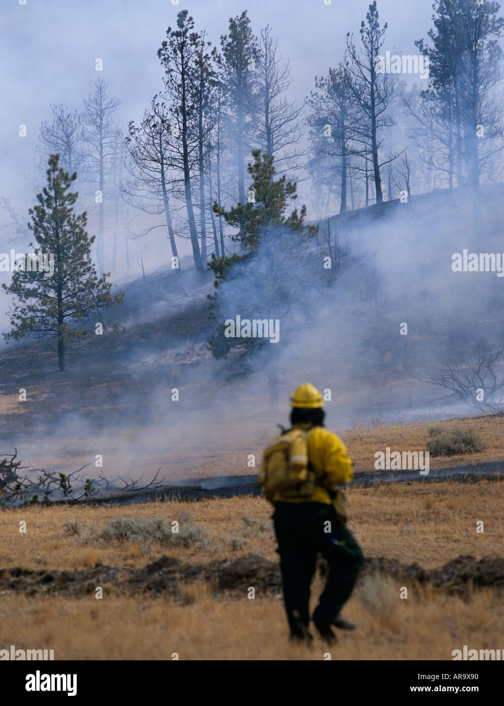 Fire fighter and wildfire, Big Timber, Montana, USA Stock Photo - Alamy