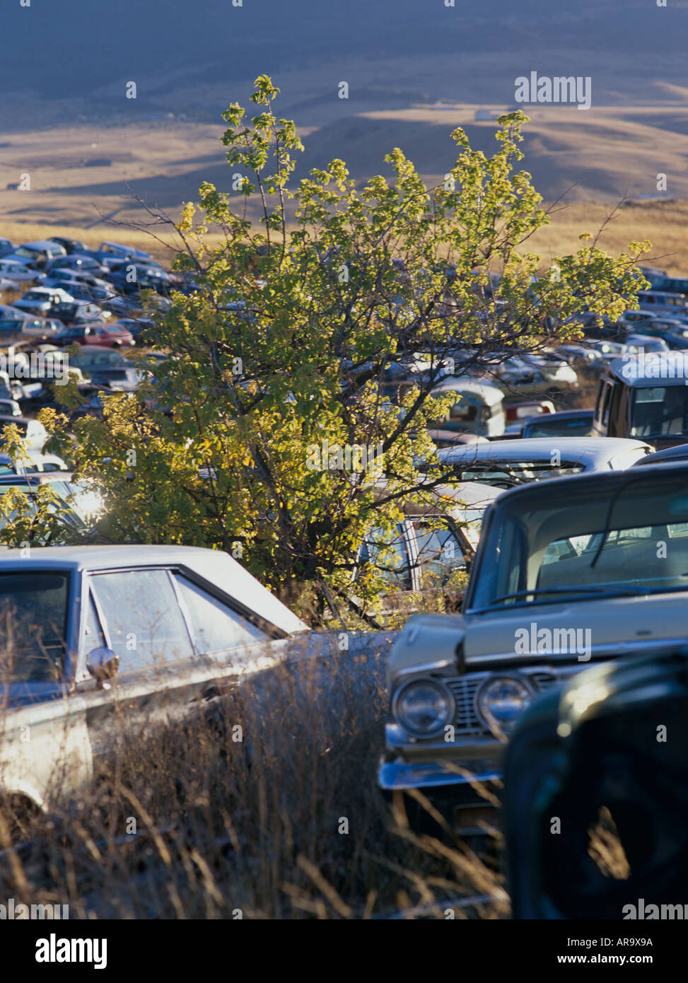 Spoilt cars hi-res stock photography and images - Alamy