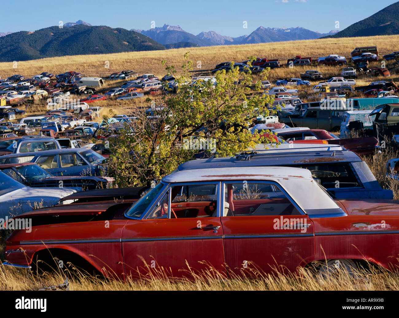 Spoilt cars hi-res stock photography and images - Alamy