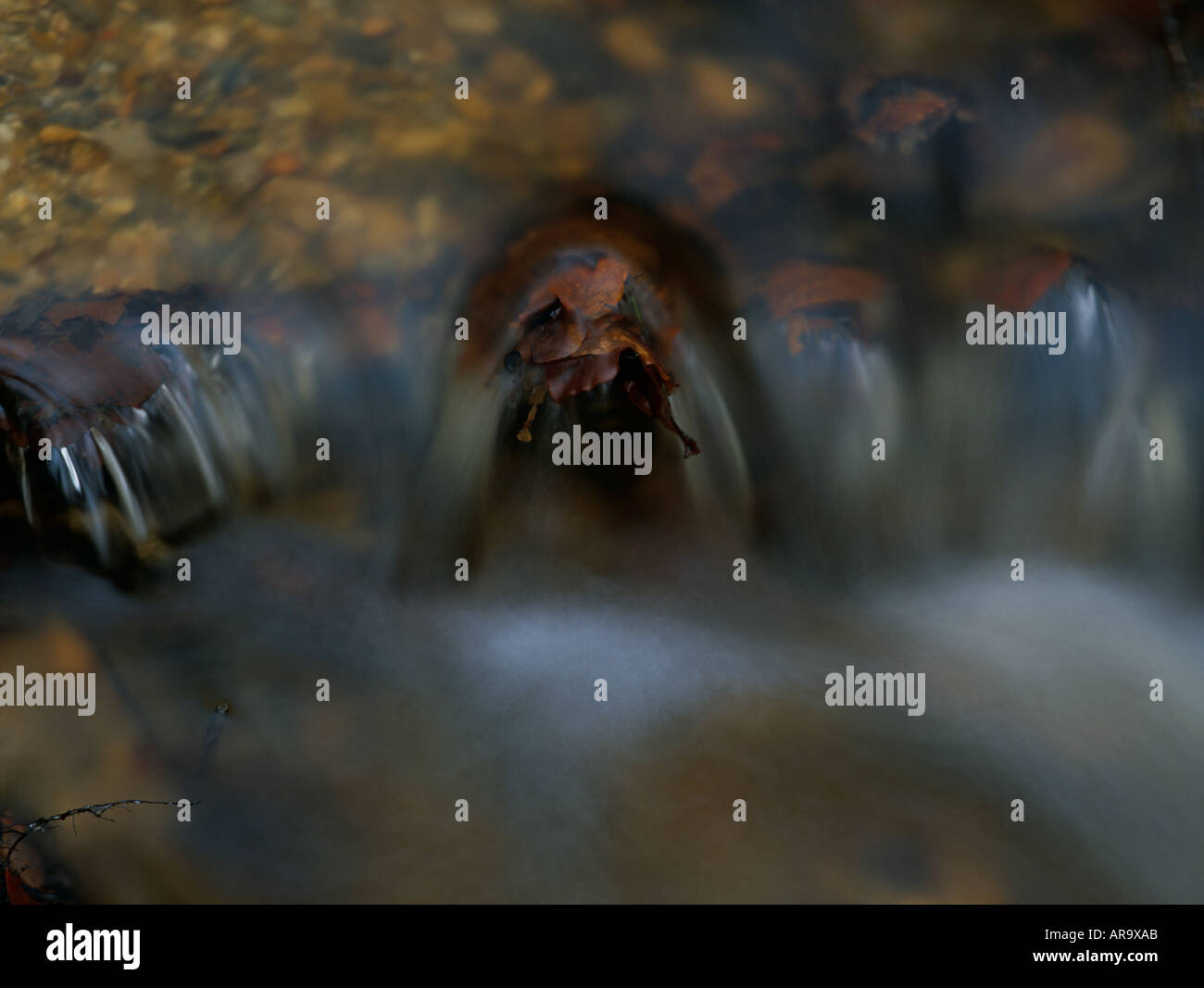 Leaves in waterfall, Tipper Barn, Epping Forest, UK Stock Photo - Alamy