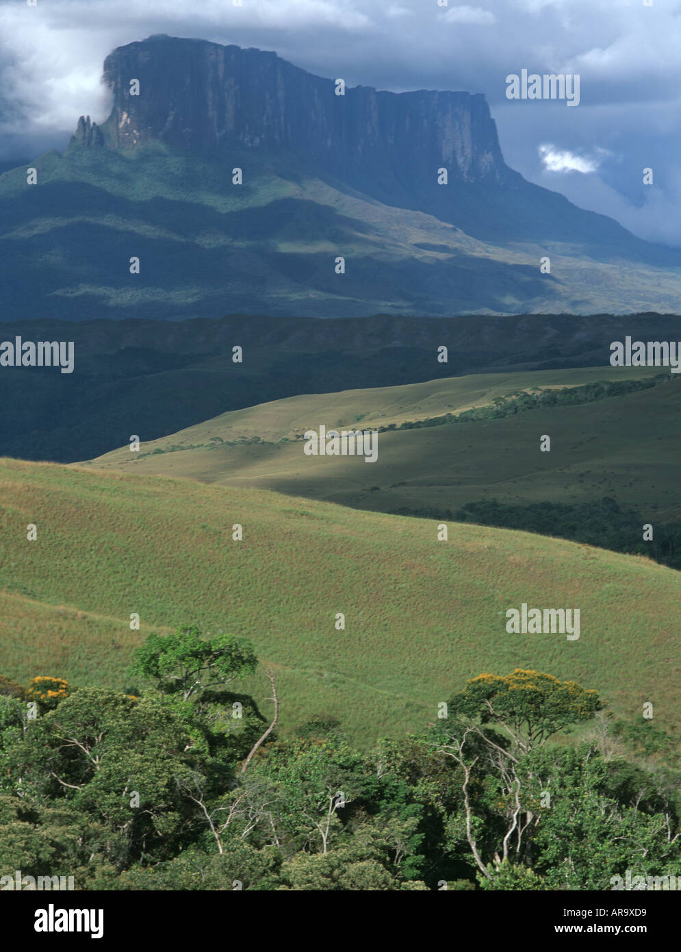 Tepuis Canaima High Resolution Stock Photography and Images - Alamy