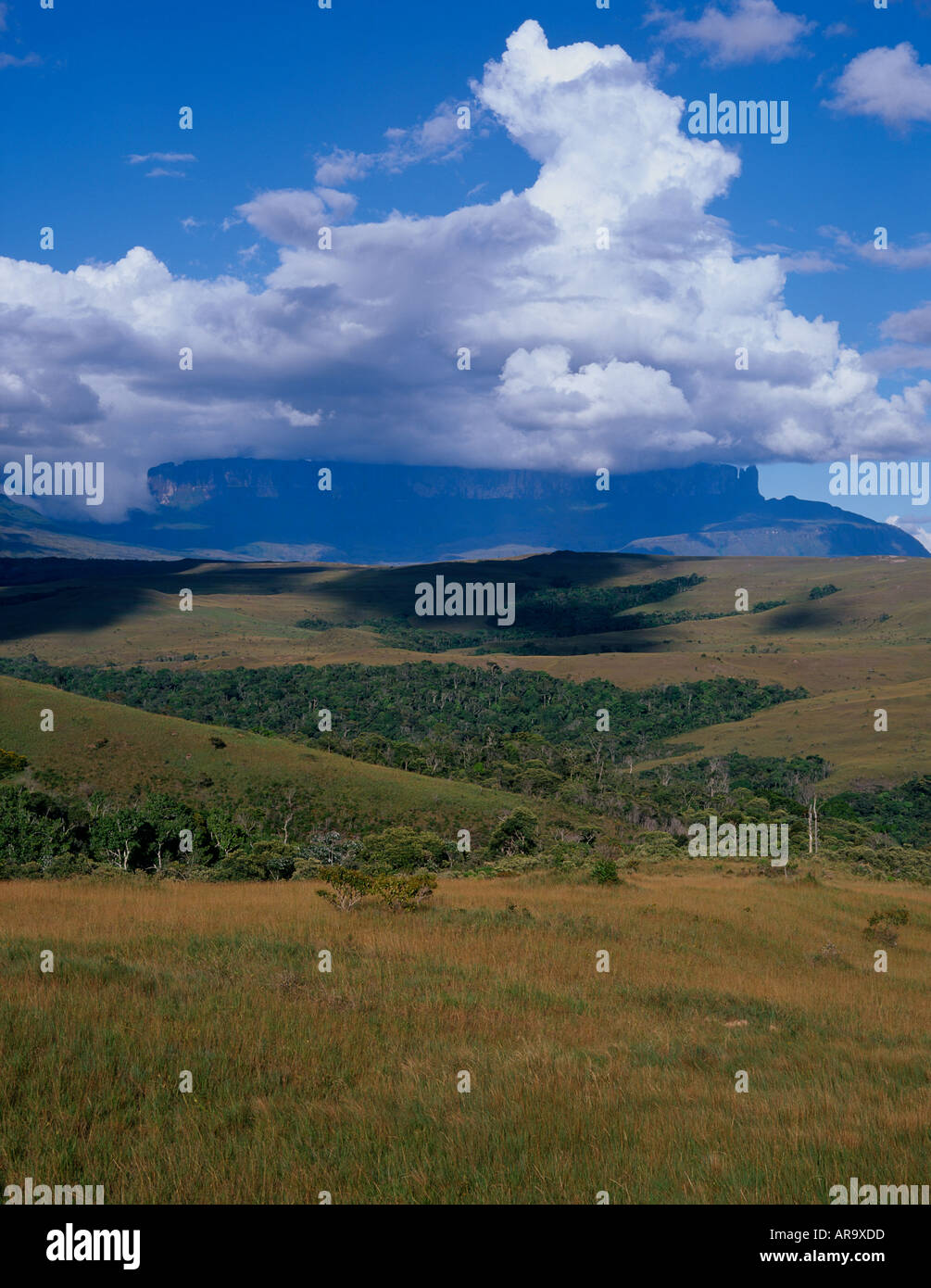 Environment protection venezuela hi-res stock photography and images ...