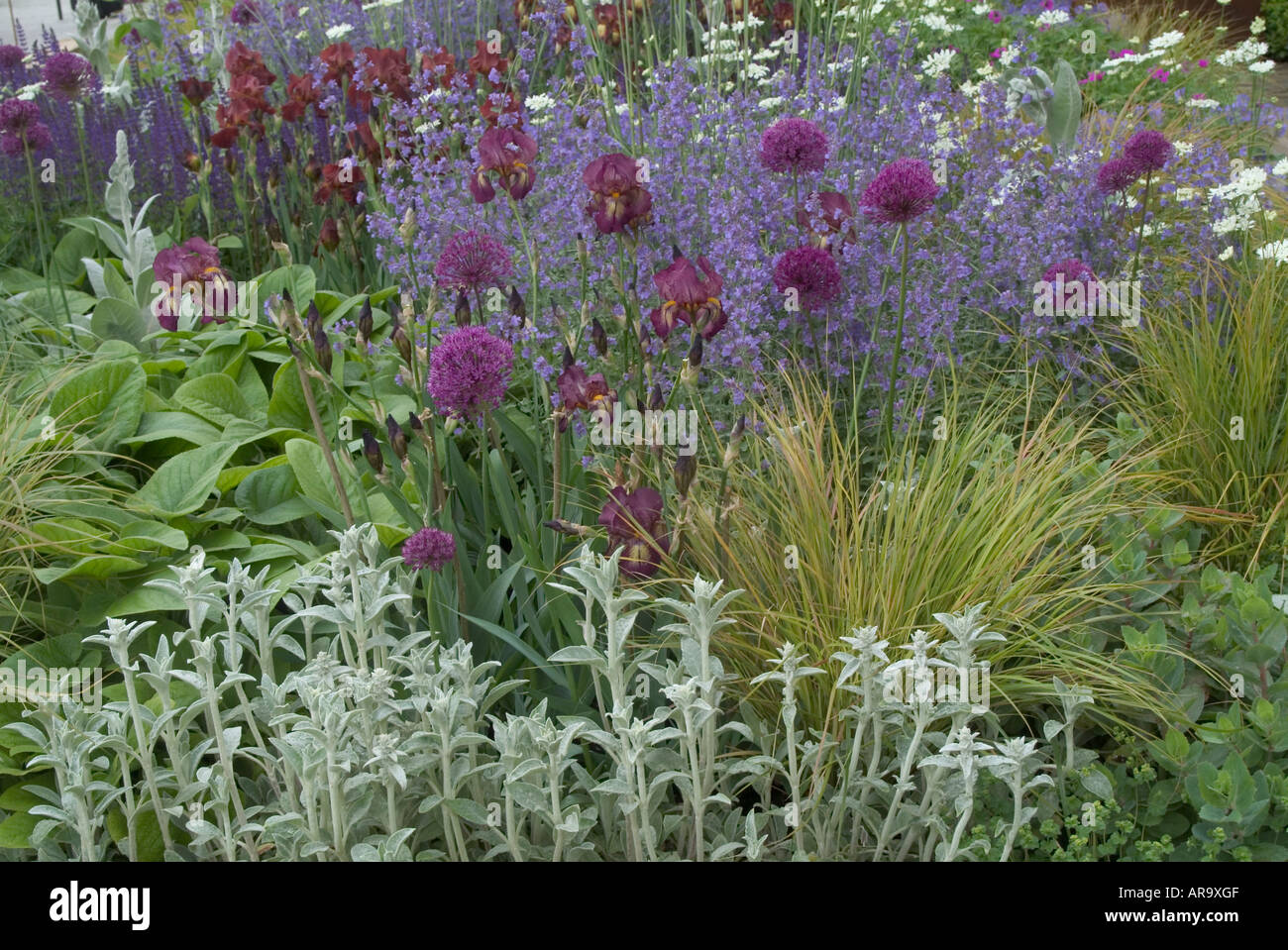 The Daily Telegraph Garden at Chelsea Flower Show 2006 Stock Photo - Alamy