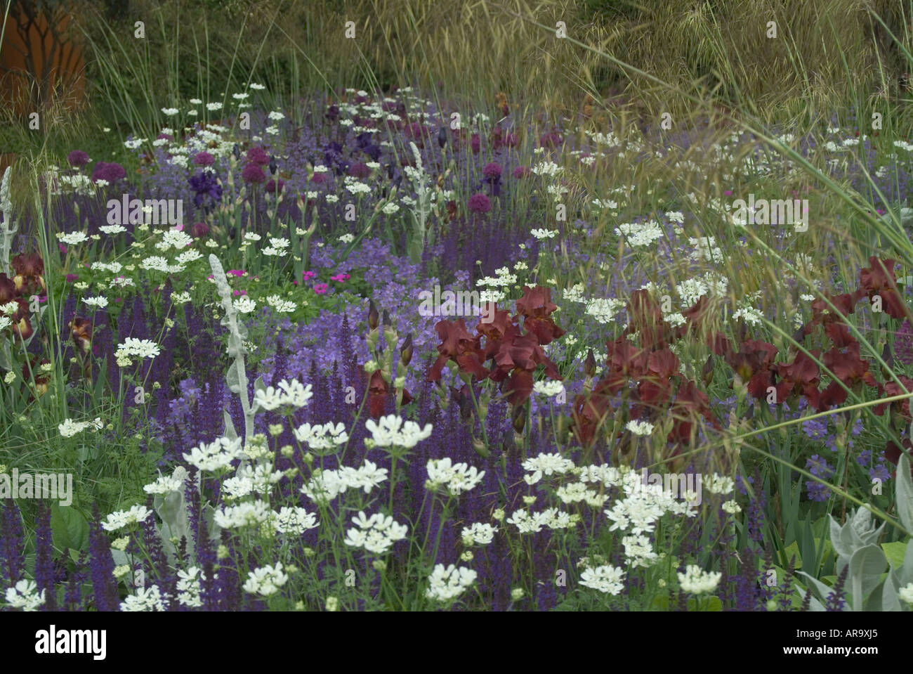 Daily telegraph garden 2006 hi-res stock photography and images - Alamy