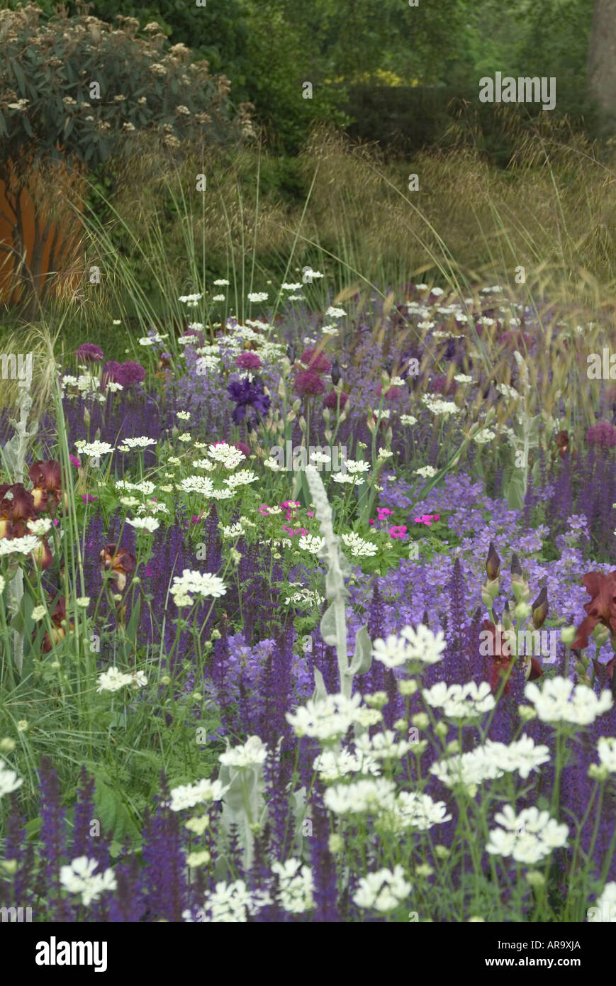 Daily telegraph garden 2006 hi-res stock photography and images - Alamy