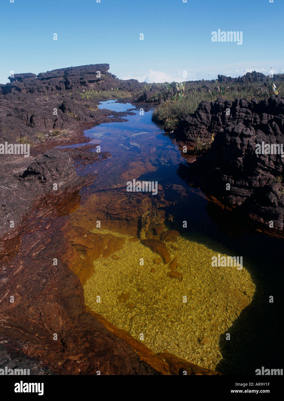 Pool with mineral rocks, Roraima tepui, Canaima National Park ...