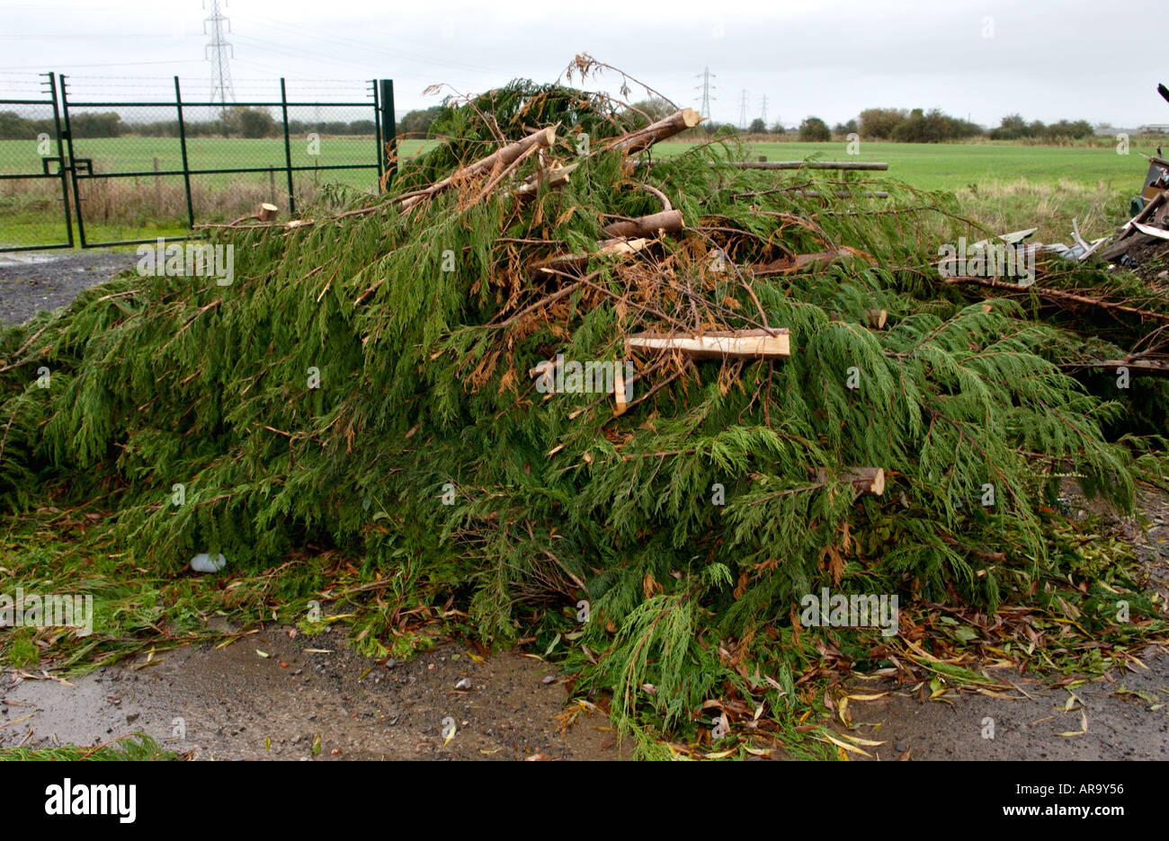 Hedge garden waste uk hi-res stock photography and images - Alamy