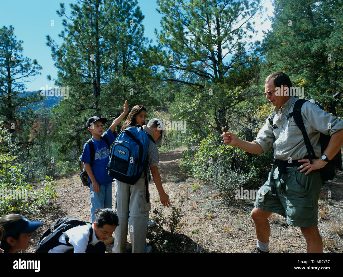 Ranger explaing biology to teenagers, Beaulah State Park, Colorado, USA ...