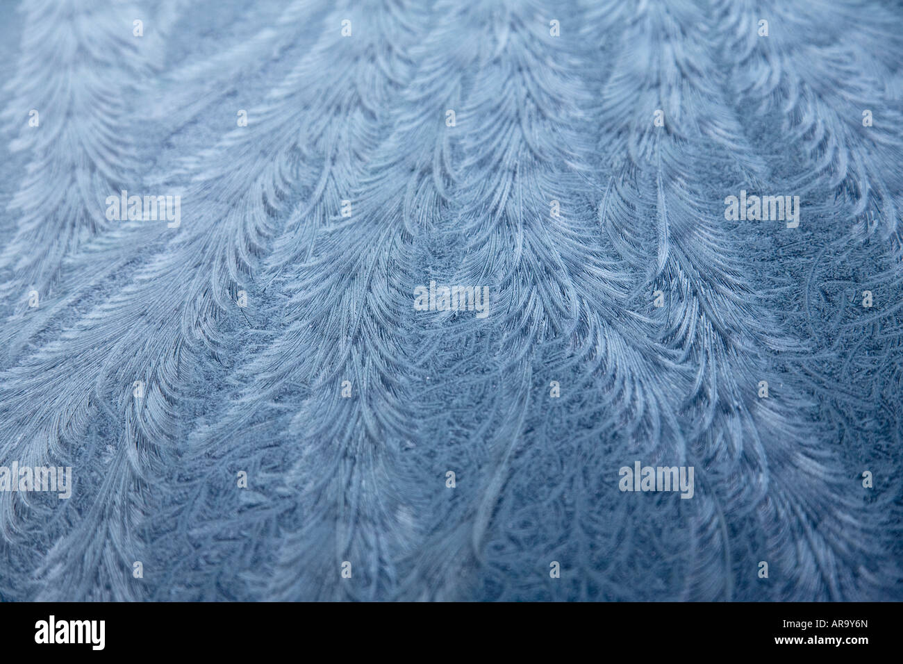 Opaque Windscreen High Resolution Stock Photography and Images - Alamy