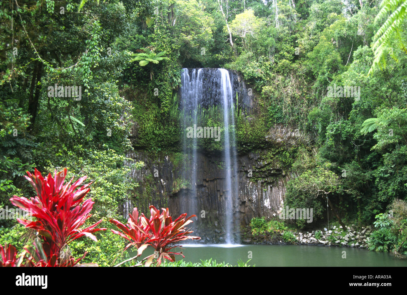 Milla Mila Falls Atherton Queensland Australia REF AHARE Stock Photo ...