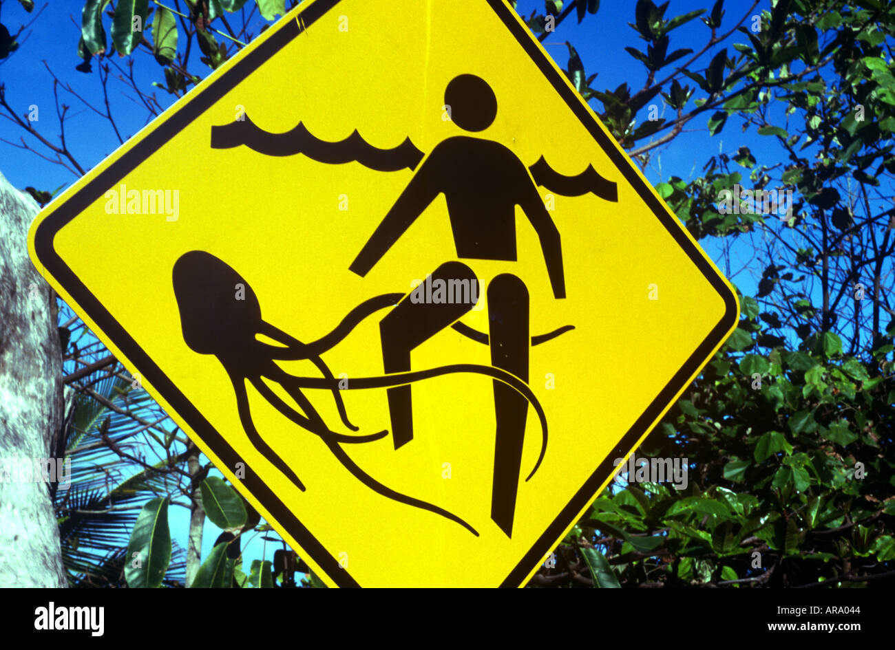 Stinger sign near Cairns Queensland Australia REF AHARE Stock Photo - Alamy