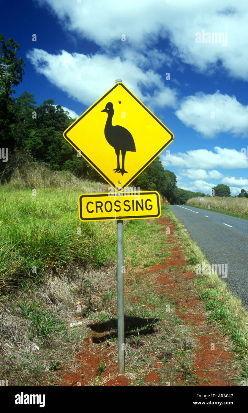 Cassowary crossing sign hi-res stock photography and images - Alamy