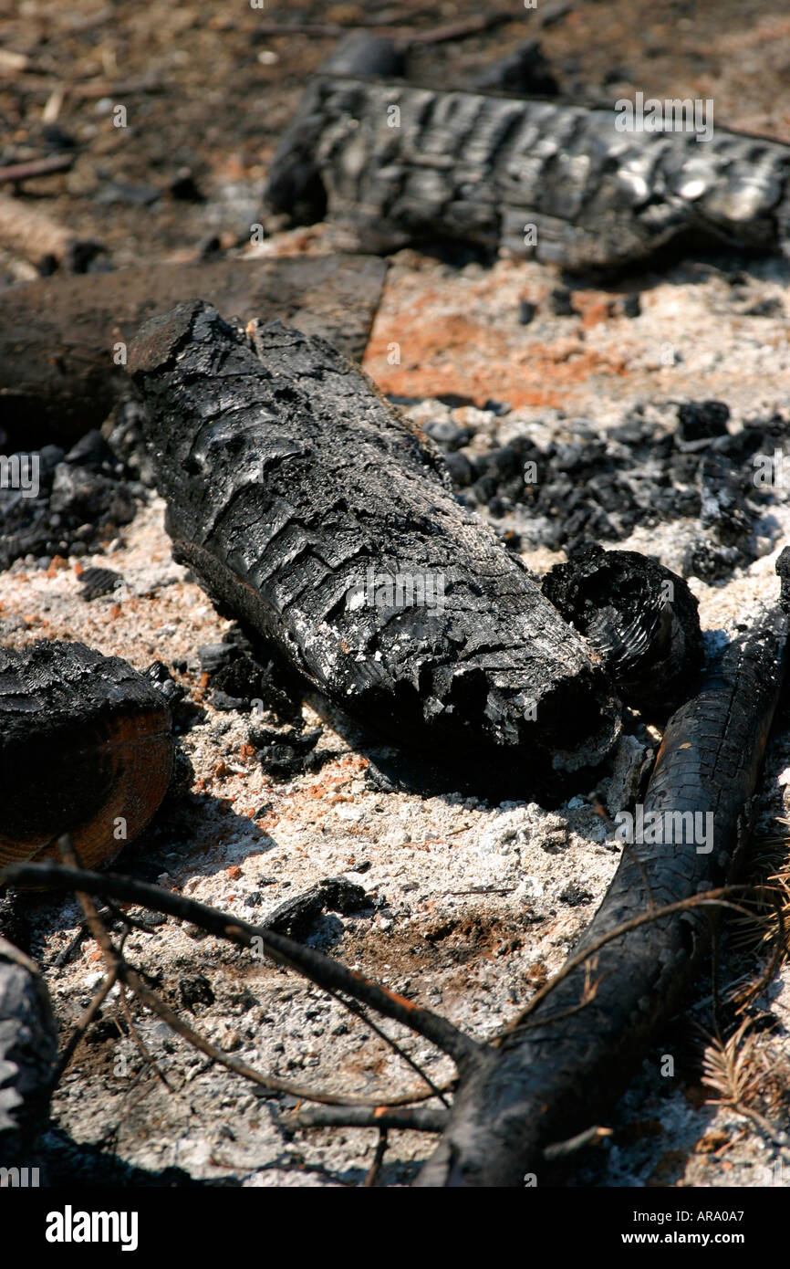Burnt and charred remains of a camp fire Stock Photo - Alamy