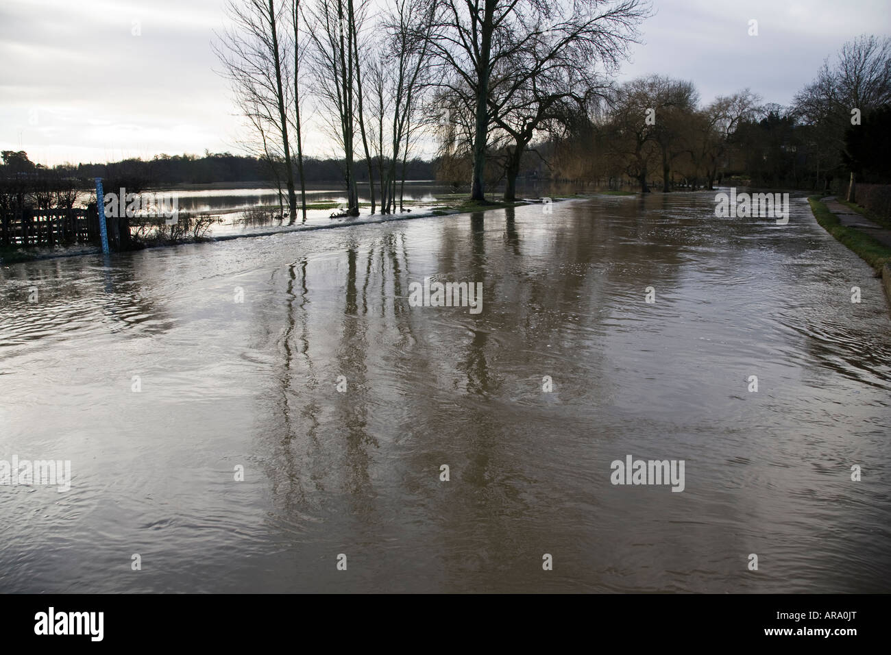 The Wey Navigation floods the surrounding fields following heavy rain ...