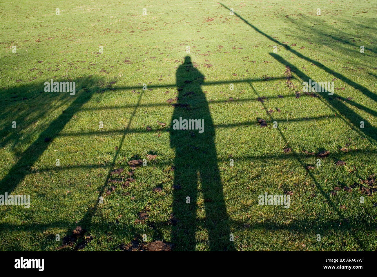 Shadow in the grass Stock Photo - Alamy