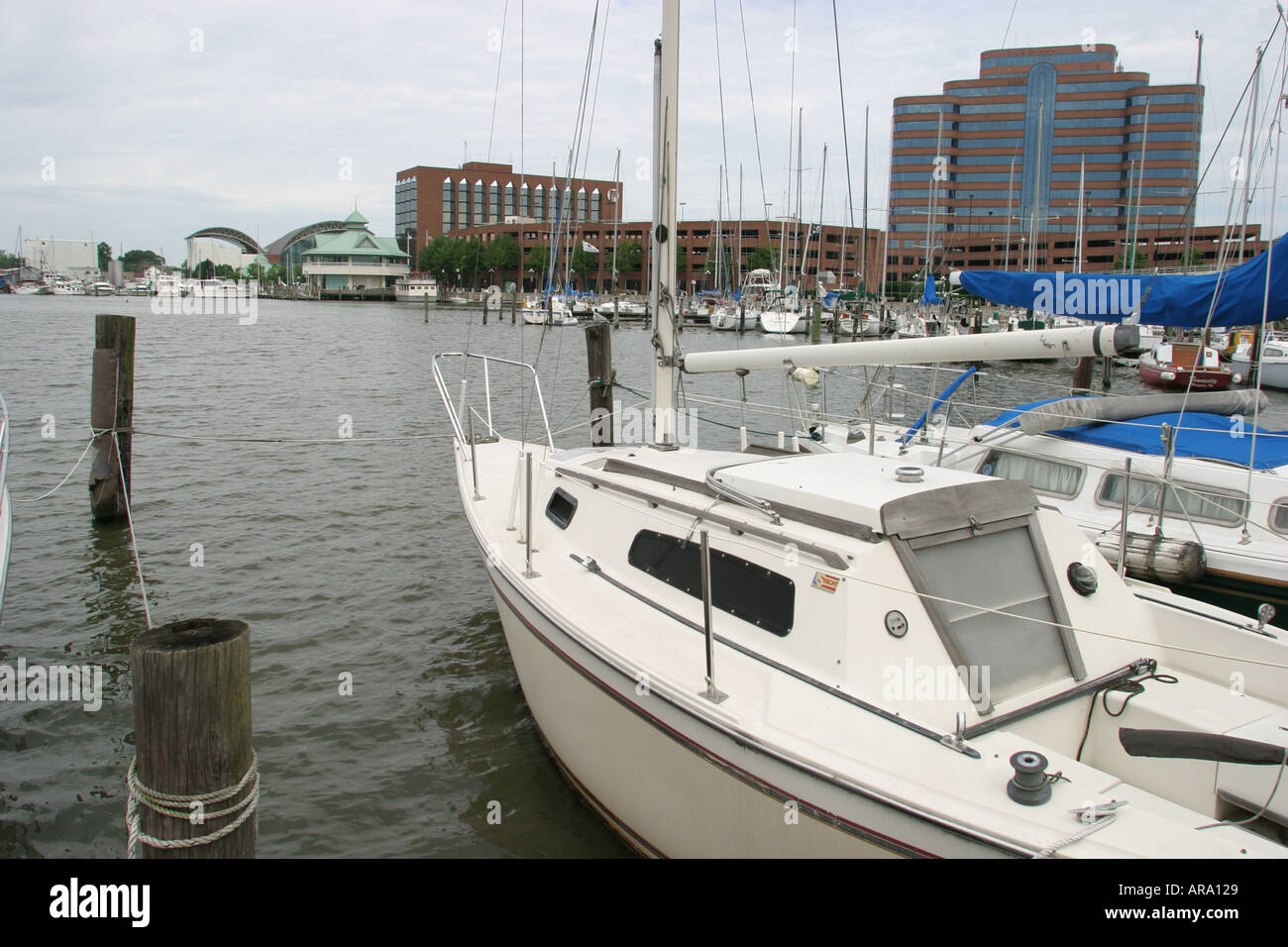 Hampton River Marina High Resolution Stock Photography and Images - Alamy
