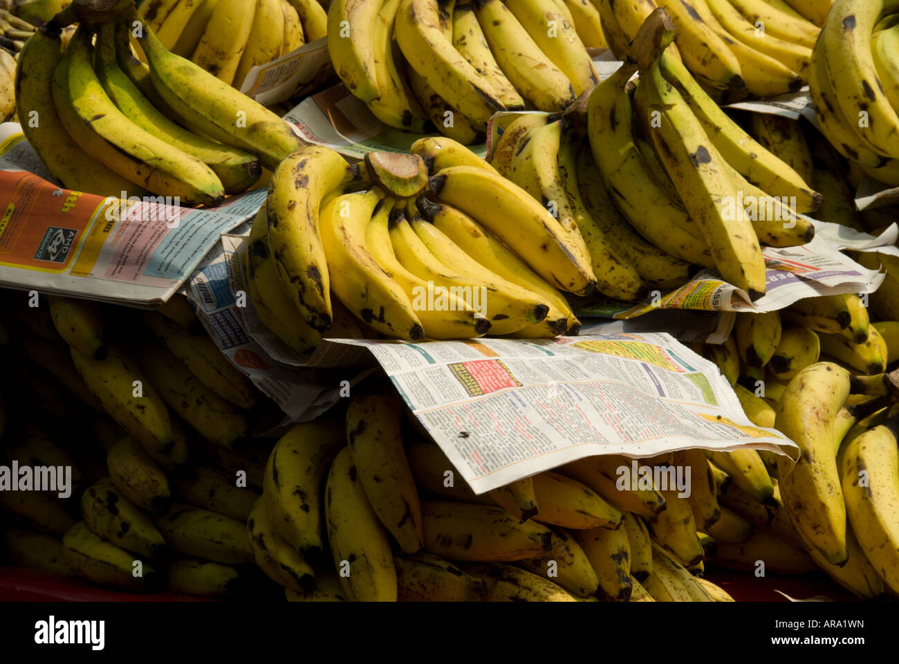 A pile of ripe bananas stacked on sheets of newspaper in the market in ...
