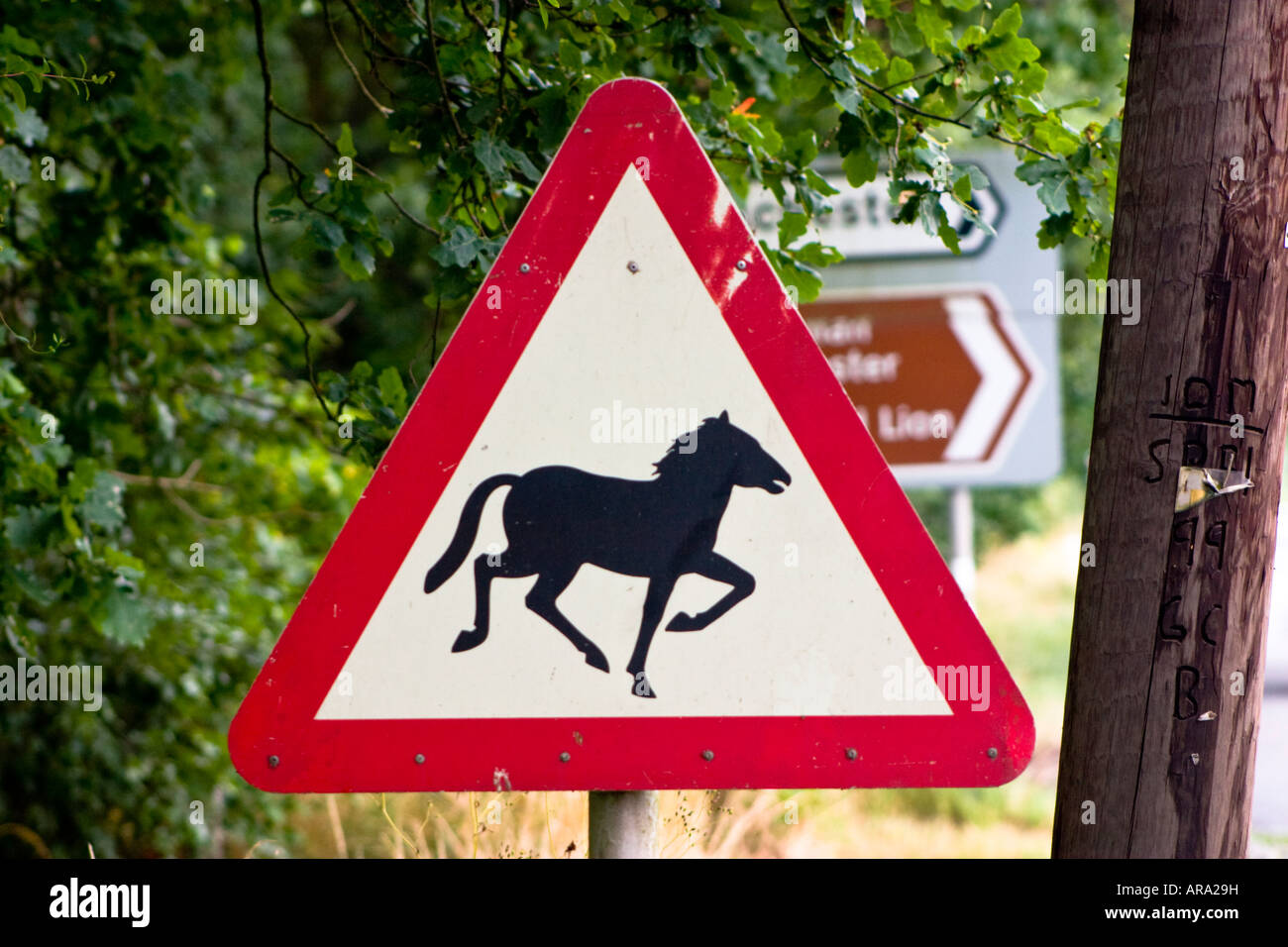 Horse crossing sign hi-res stock photography and images - Alamy
