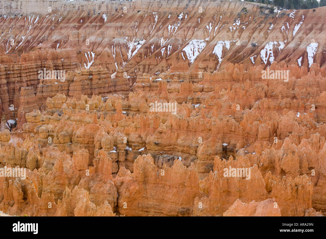 Eroded pinnacles in Bryce Canyon, Utah, United States Stock Photo - Alamy