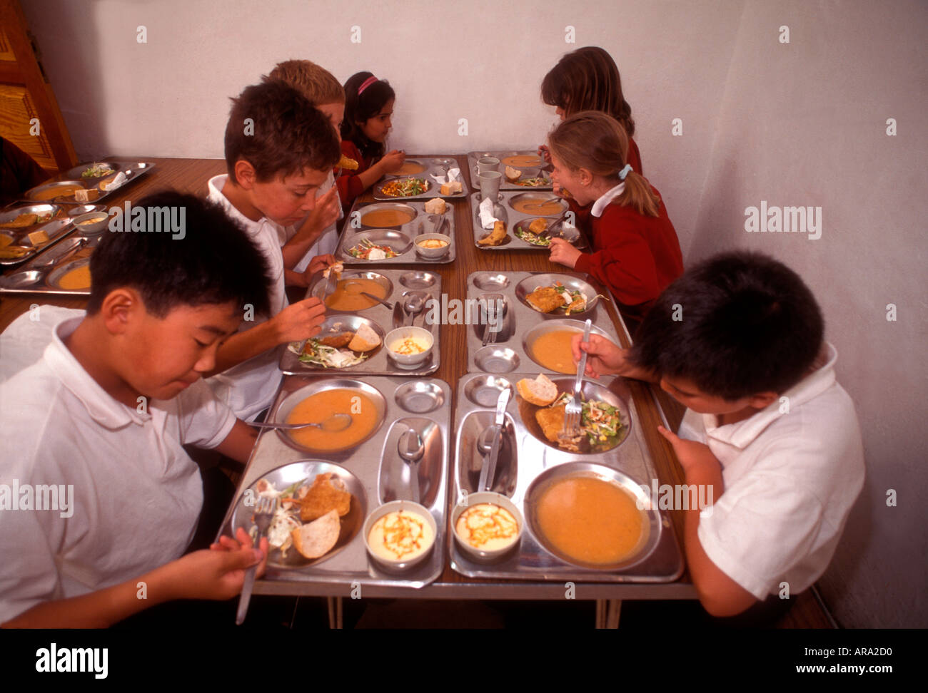 SCHOOL DINNERS HEALTHY BALANCED SERVING MEAL Group of multiracial ...