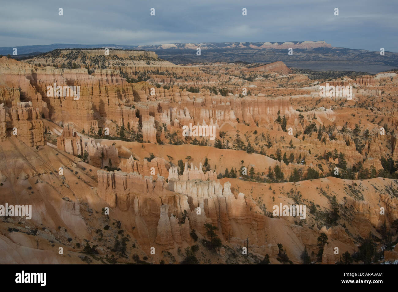 Eroded pinnacles in Bryce Canyon, Utah, United States Stock Photo - Alamy