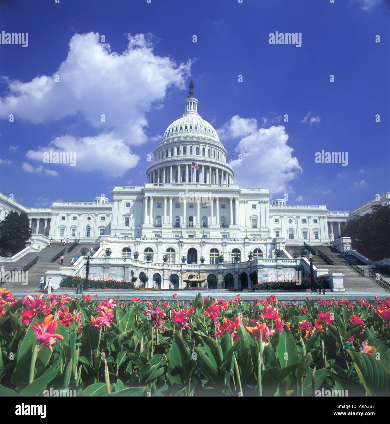 Capitol Building, Washington DC, USA Stock Photo - Alamy