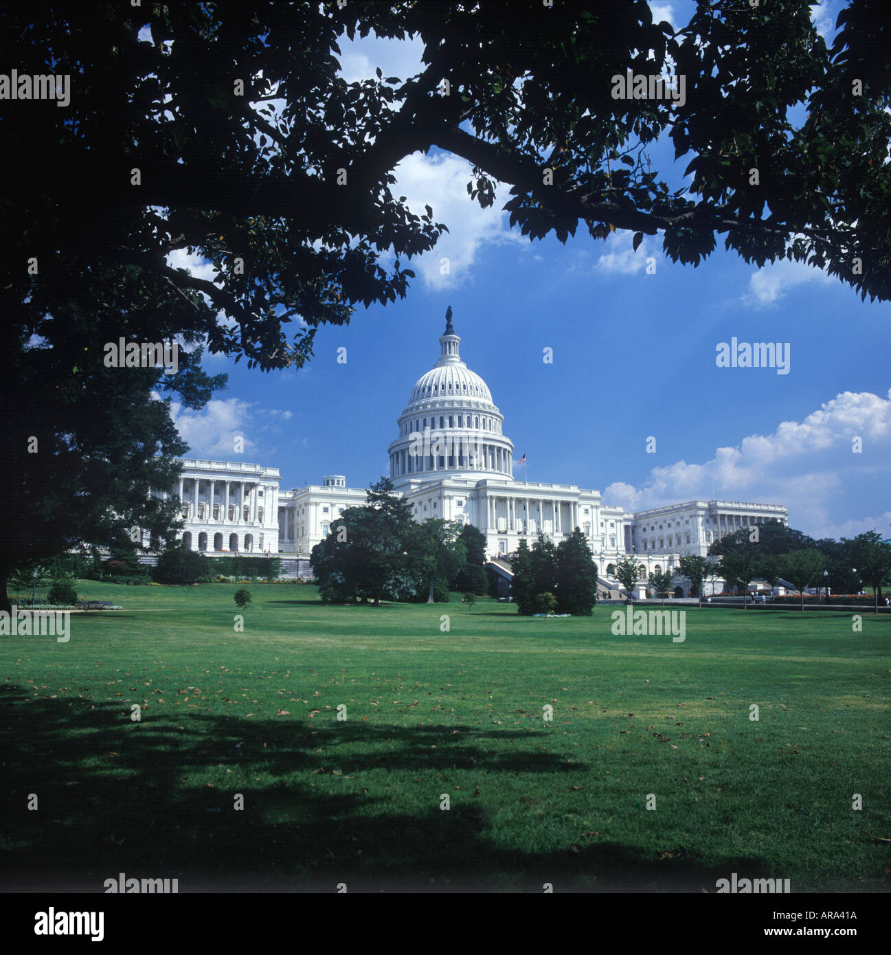 Capitol Building Washington DC USA Stock Photo - Alamy