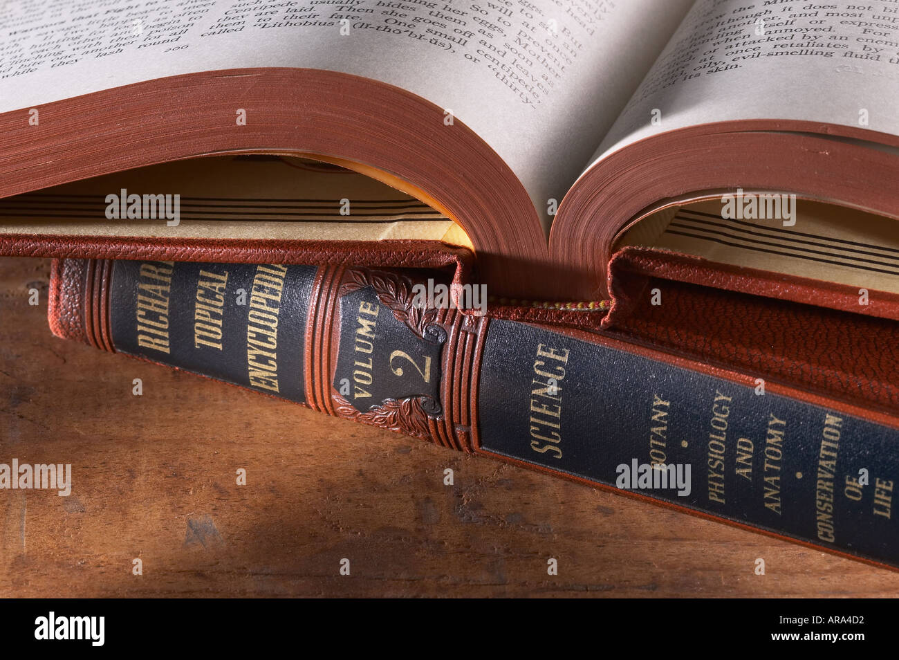 Old Books Detail Stock Photo - Alamy