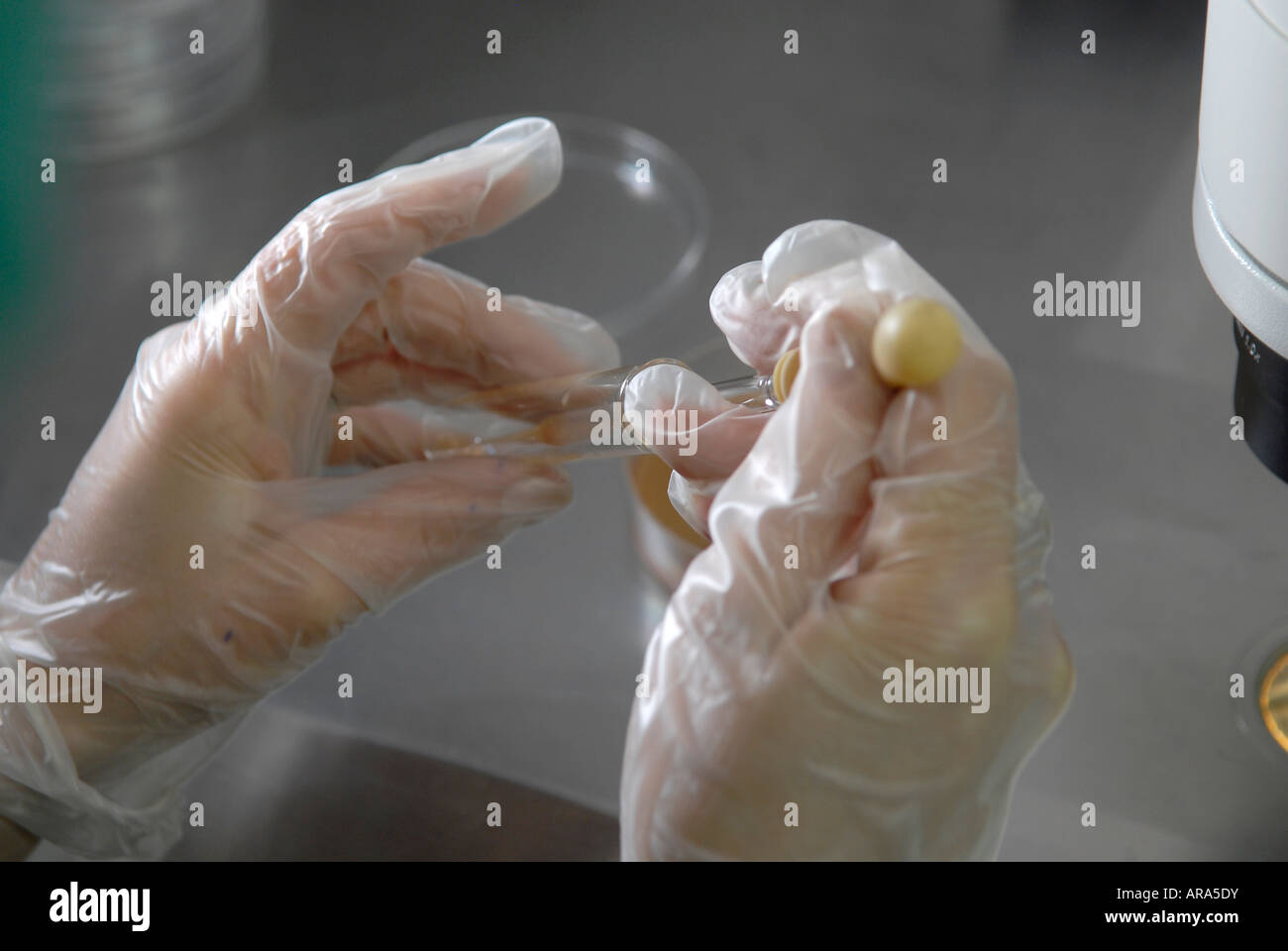 Vitrification hi-res stock photography and images - Alamy