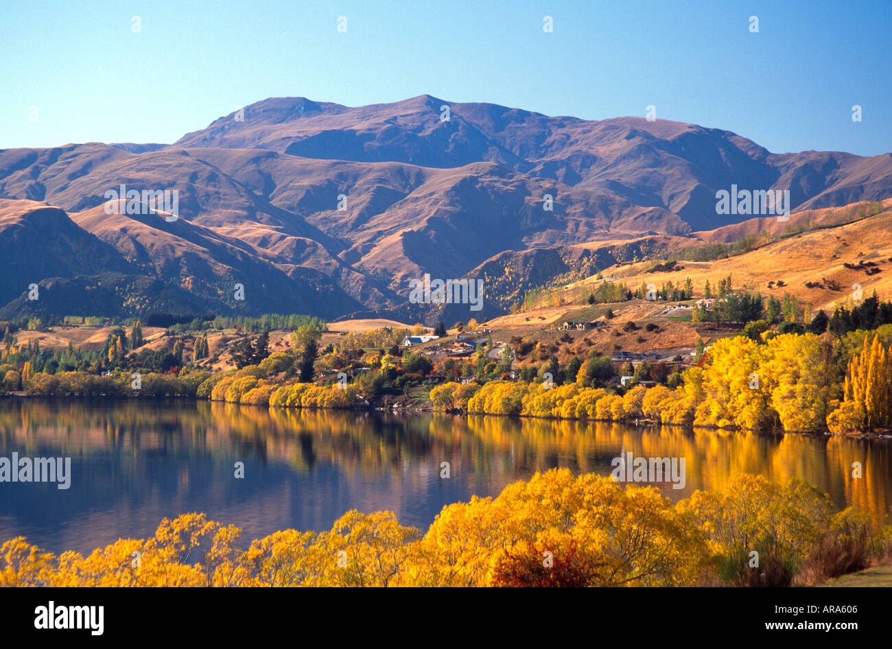 Autumn Colours Lake Hayes near Queenstown New Zealand Stock Photo - Alamy