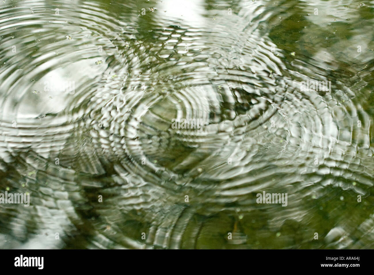 Ripples of Raindrops in River Stock Photo - Alamy