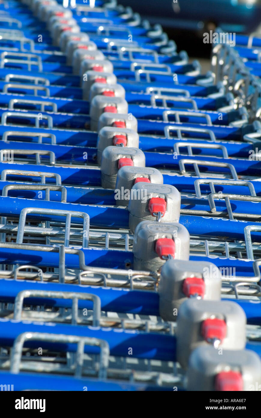 Close up picture of a line of shopping trolleys Stock Photo - Alamy
