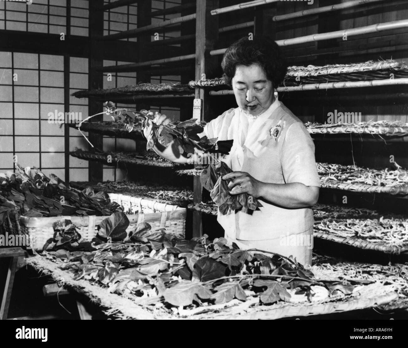 Emperador Japonés Hirohito