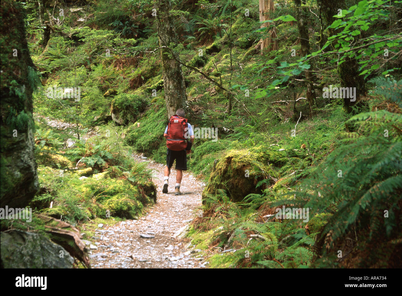 Tramper hi-res stock photography and images - Alamy
