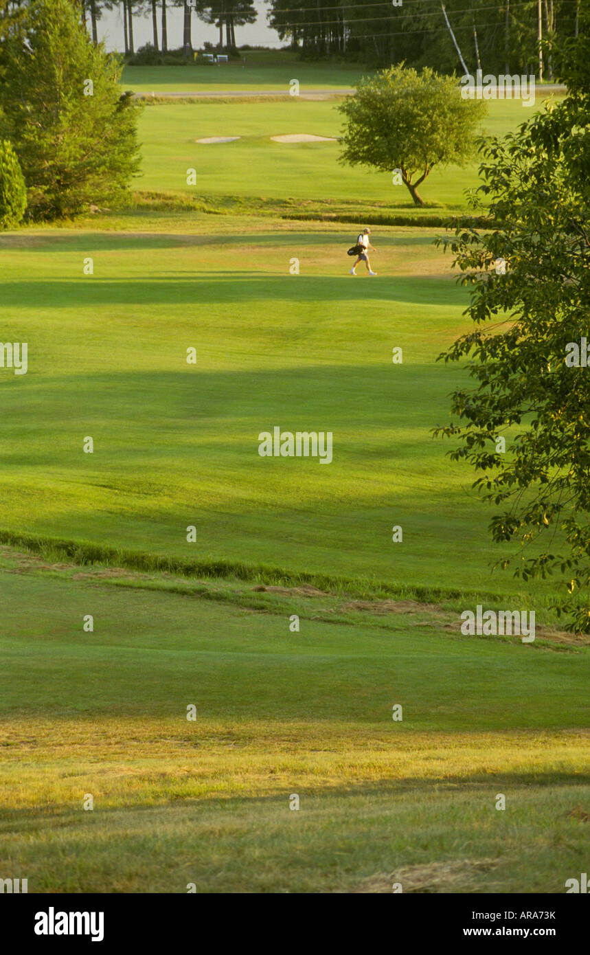 Golfer walks across fairway Stock Photo - Alamy