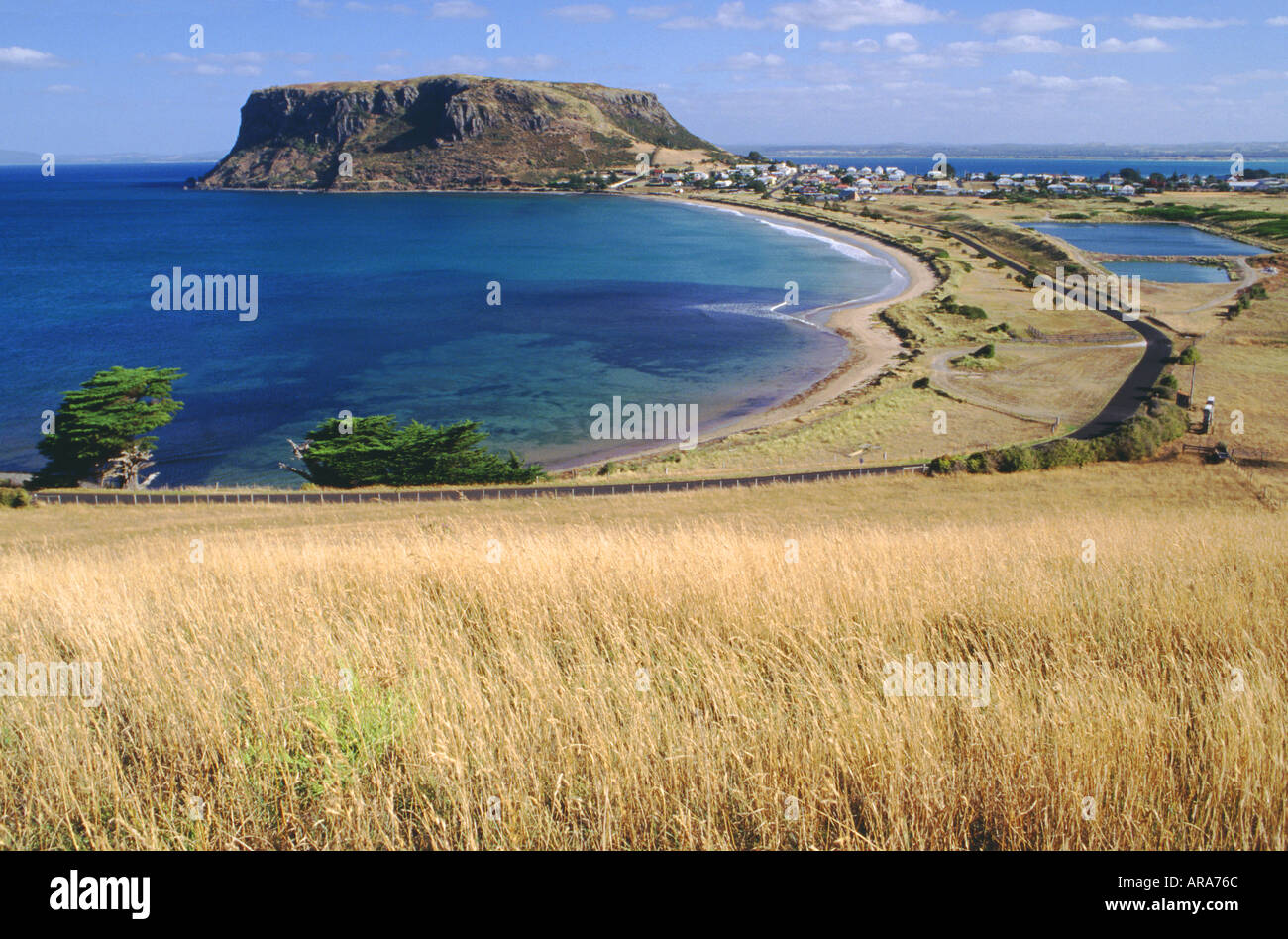 The geological feature called "The Nut" at Stanley in north west ...